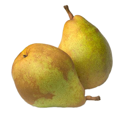 Pear Variety Guide - Veritable Vegetable