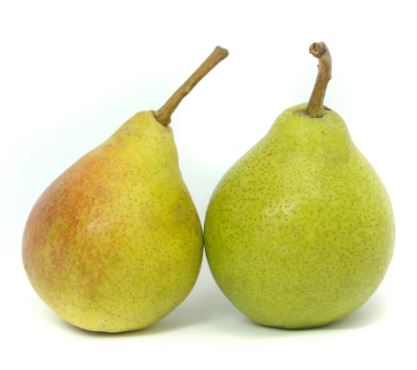 Pear Variety Guide - Veritable Vegetable