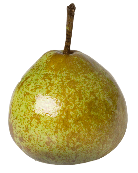 Pear Variety Guide - Veritable Vegetable