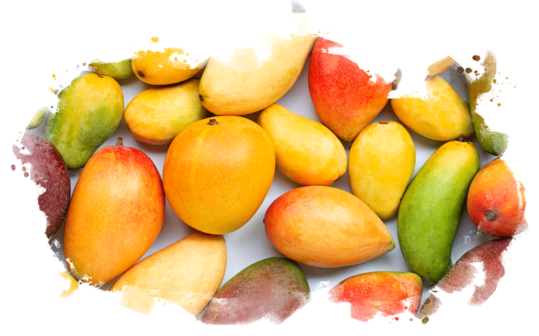 Every Day is Mango-nificent - Veritable Vegetable