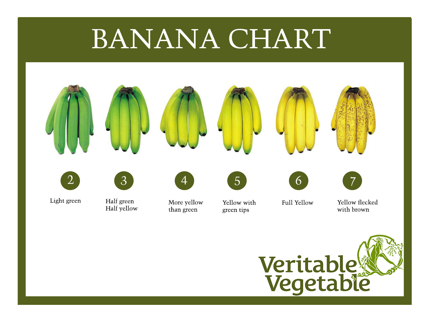 Fair Trade GROW Organic Bananas - Veritable Vegetable