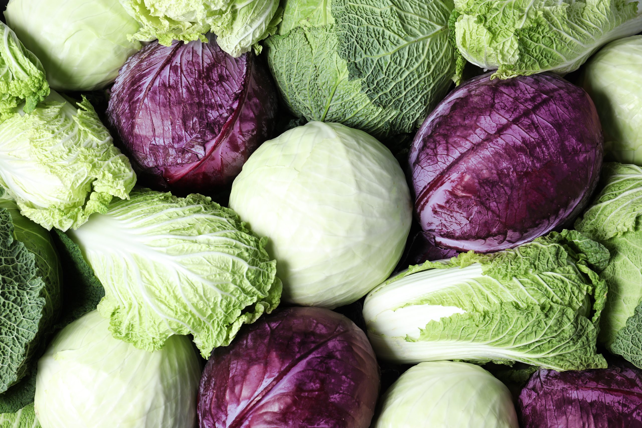 Cabbage: The Leafy Superstar You Didn’t Know You Needed - Veritable Vegetable