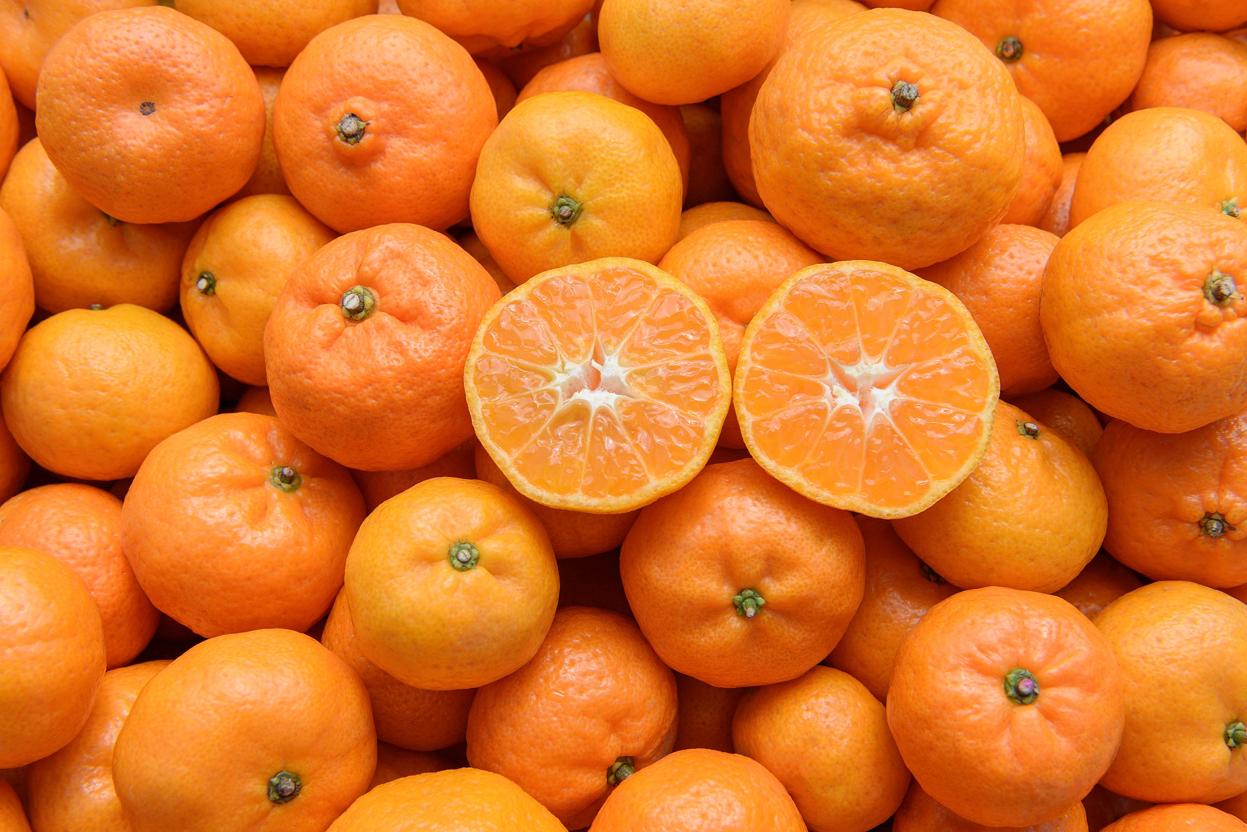 Citrus Season: Peel. Eat. Repeat. - Veritable Vegetable